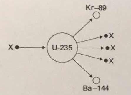 The diagram shows an atom of uranium-235 being split into several ...